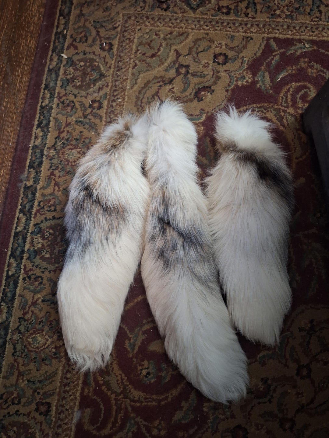 Gorgeous Jumbo Sunglow/ Marble Ranch Fox Tails - Etsy