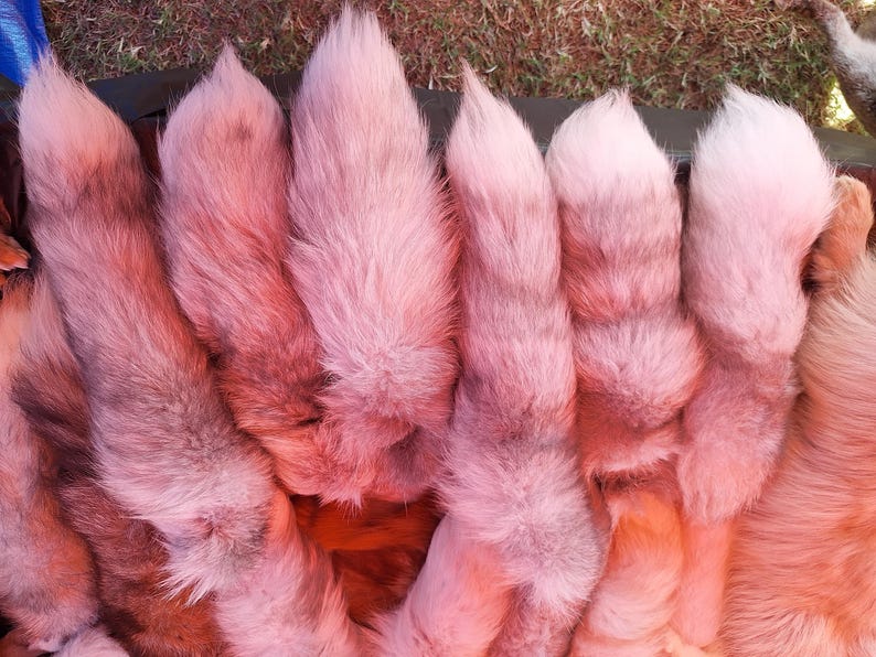 RARE XL Sapphire Frost Fox Tail - Etsy