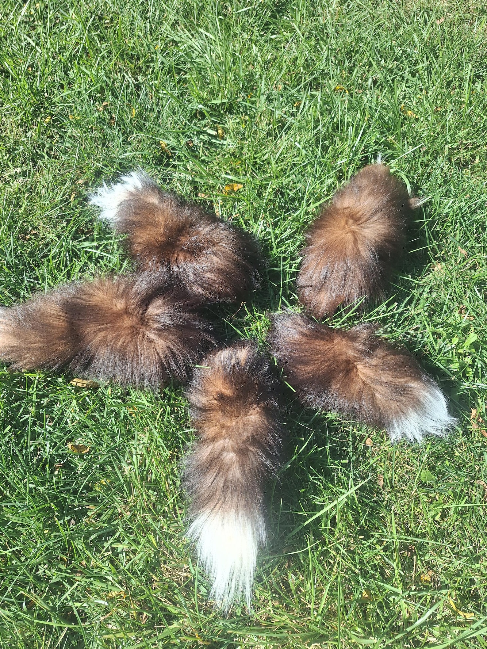 Giant Crystal PUFF Tails - Etsy