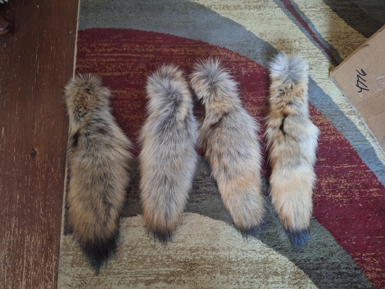 A+ Quality Huge Coyote Tails - Etsy