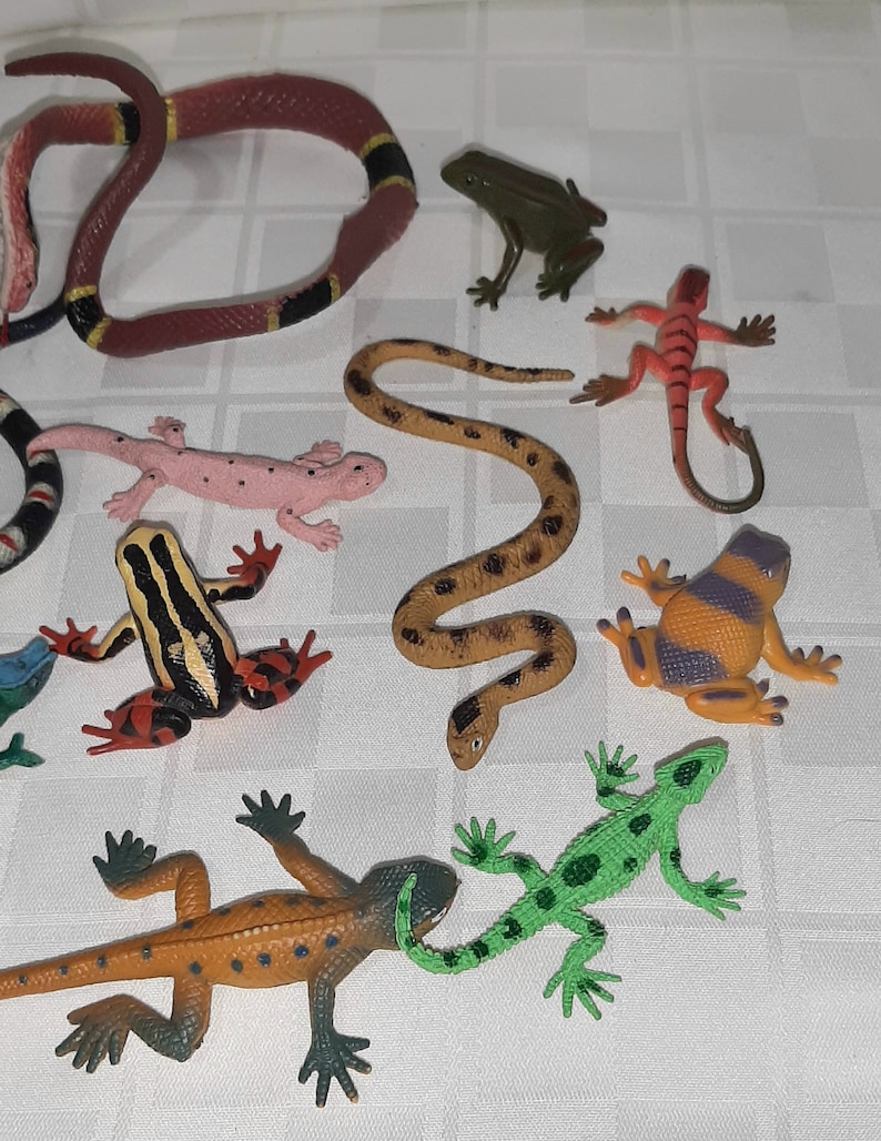 Rubber Snakes Lizards Frogs Insects Lot of 25 Piece Toy - Etsy