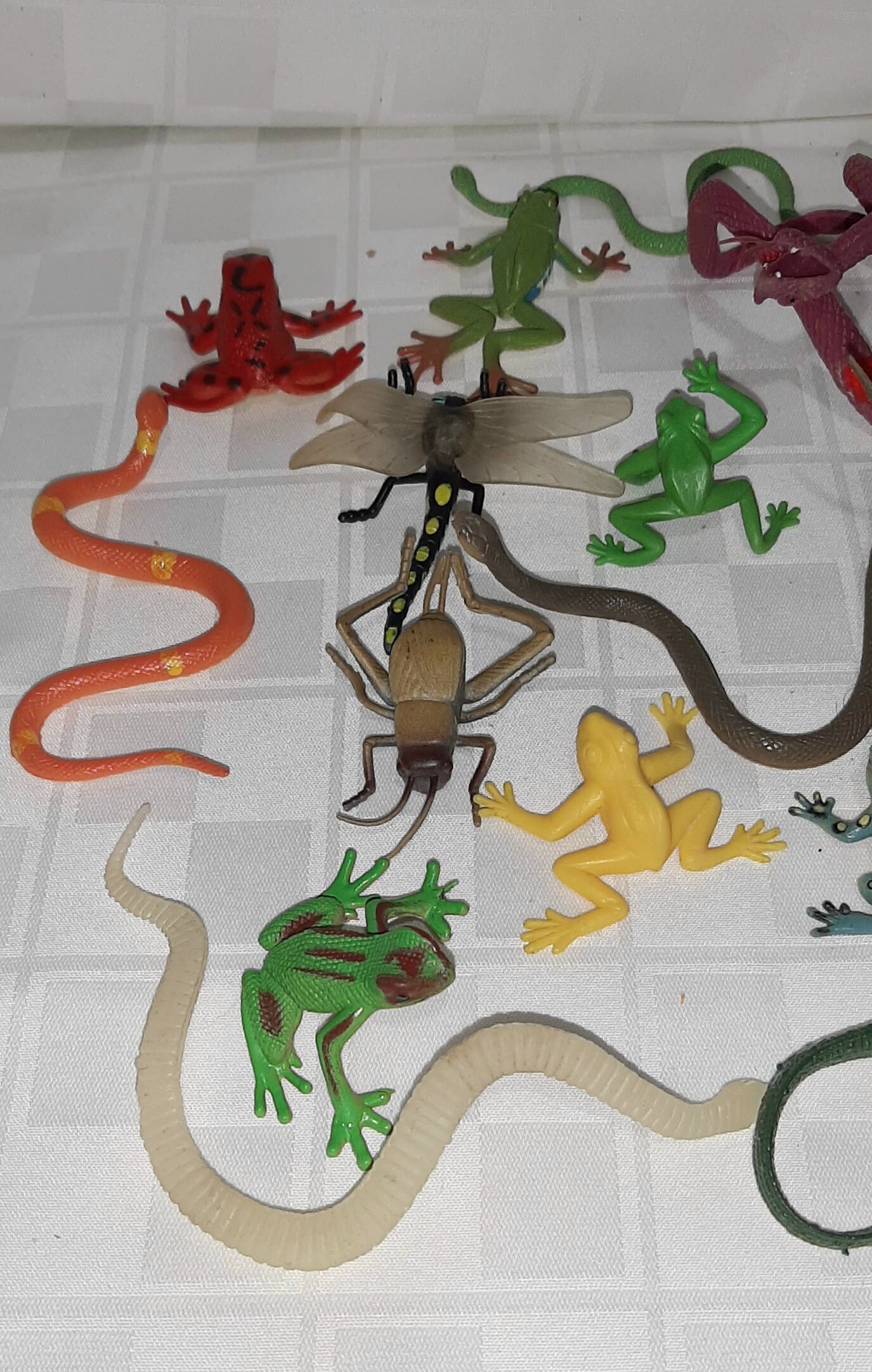 Rubber Snakes Lizards Frogs Insects Lot of 25 Piece Toy - Etsy