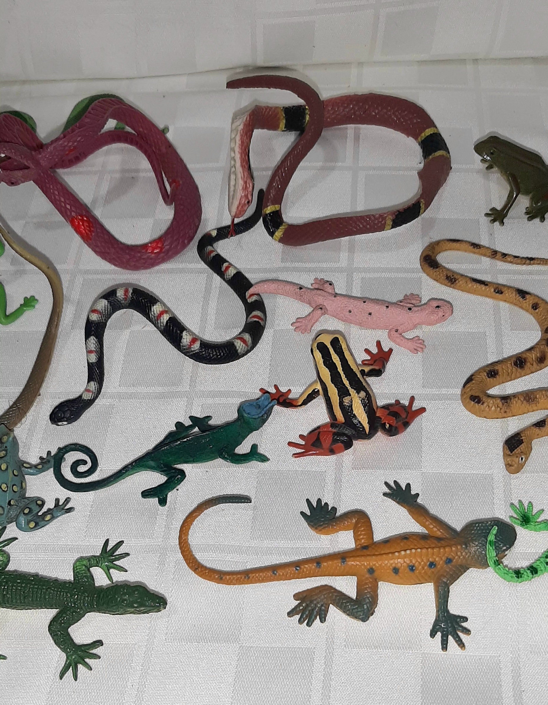 Rubber Snakes Lizards Frogs Insects Lot of 25 Piece Toy - Etsy