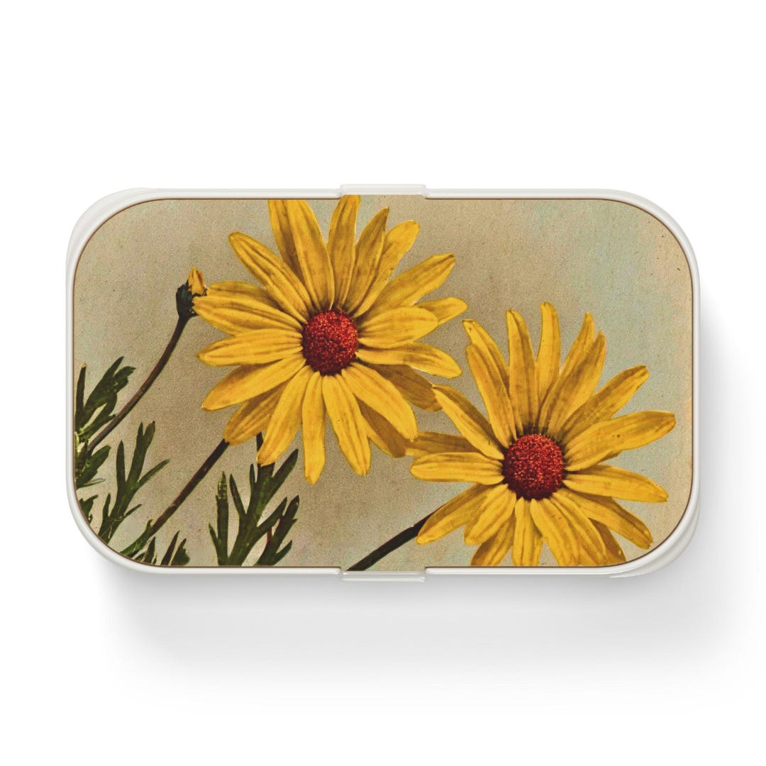 Vintage Yellow Daisy Bento Lunch Box, Floral Bento Box, Meal Prep Bento ...