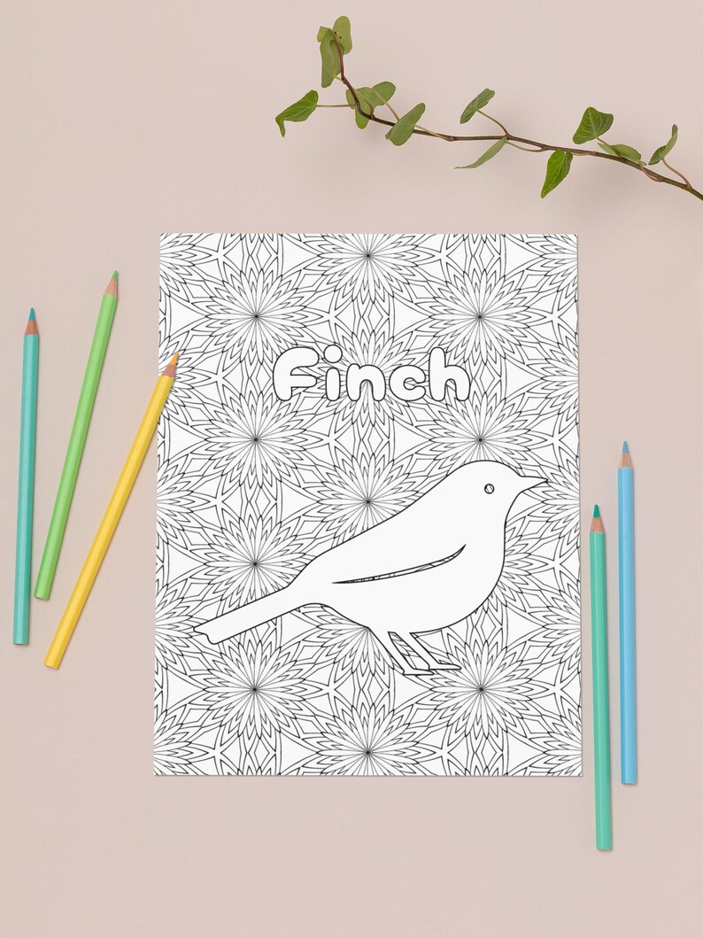Finch Bird Adult Coloring Page Digital Download, Finch Coloring Page ...