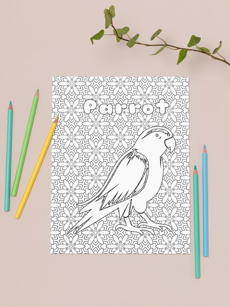 Parrot Coloring Page, Detailed Parrot Design, Printable Adult Coloring ...