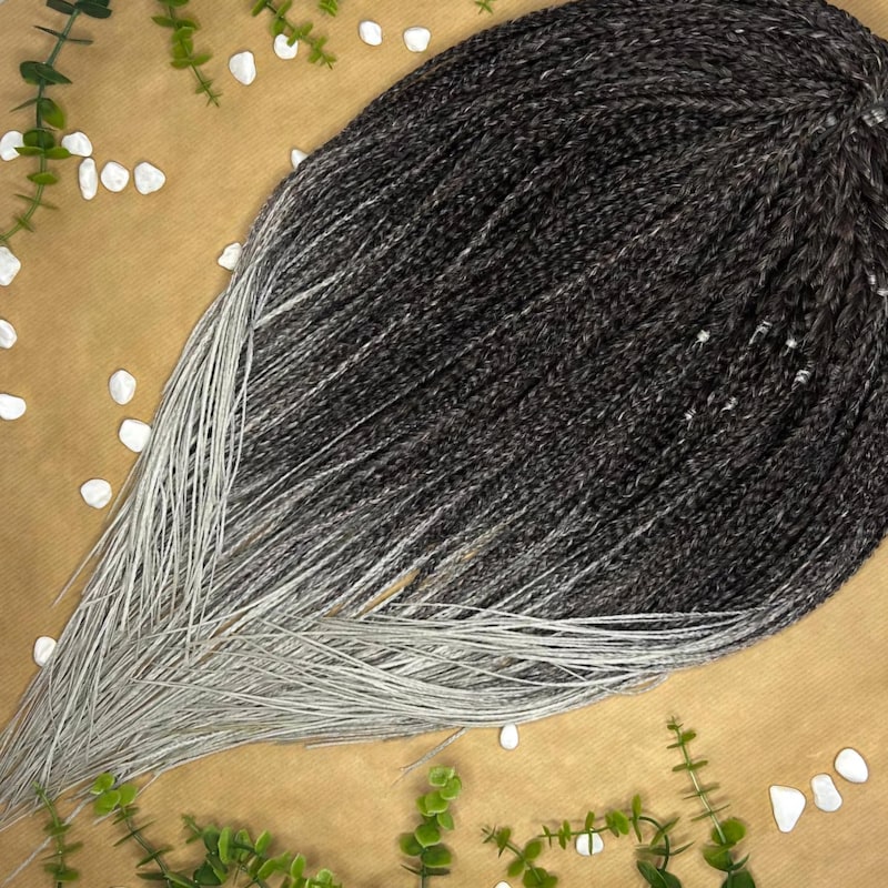 Elias duarte lopez dinosaur hapush braids no - Etsy Canada