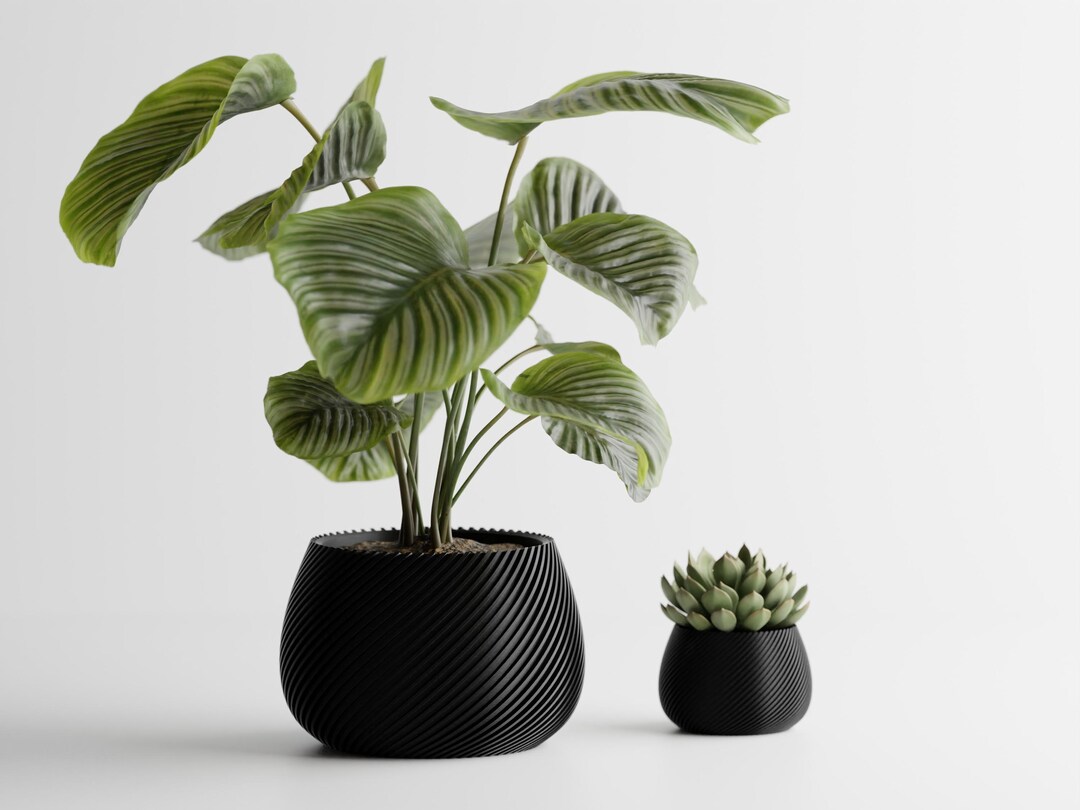 The Licorice with Flair: Unique Decorative Vase for Home Decor 3dprint ...