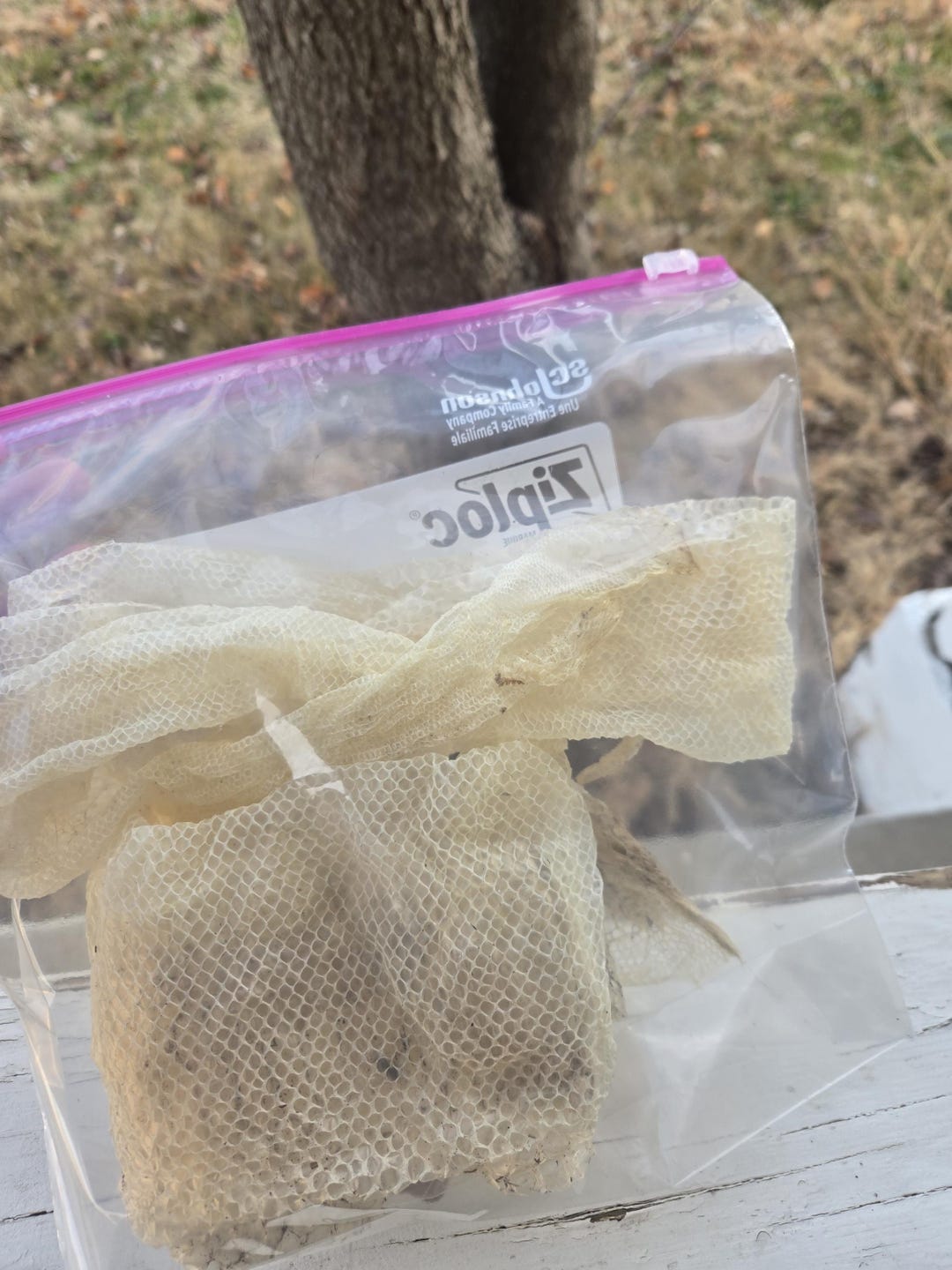 Adult Ball Python Sheds - Etsy