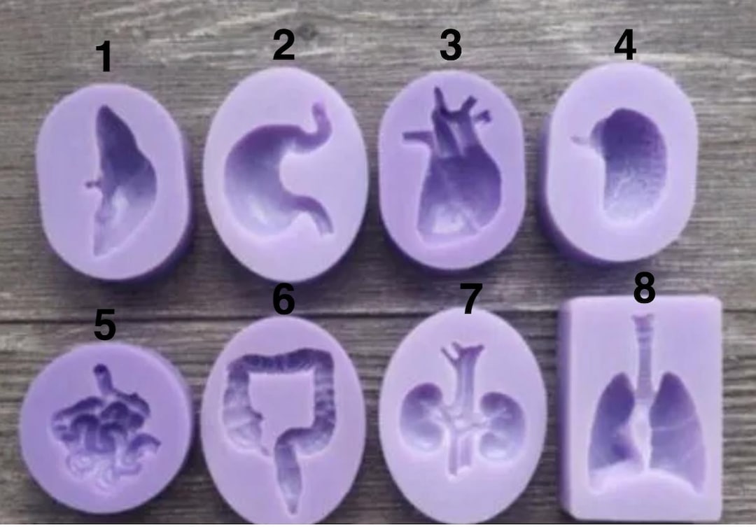 Different Human Internal Organs Silicone Mold Fondant Cake Decorating ...