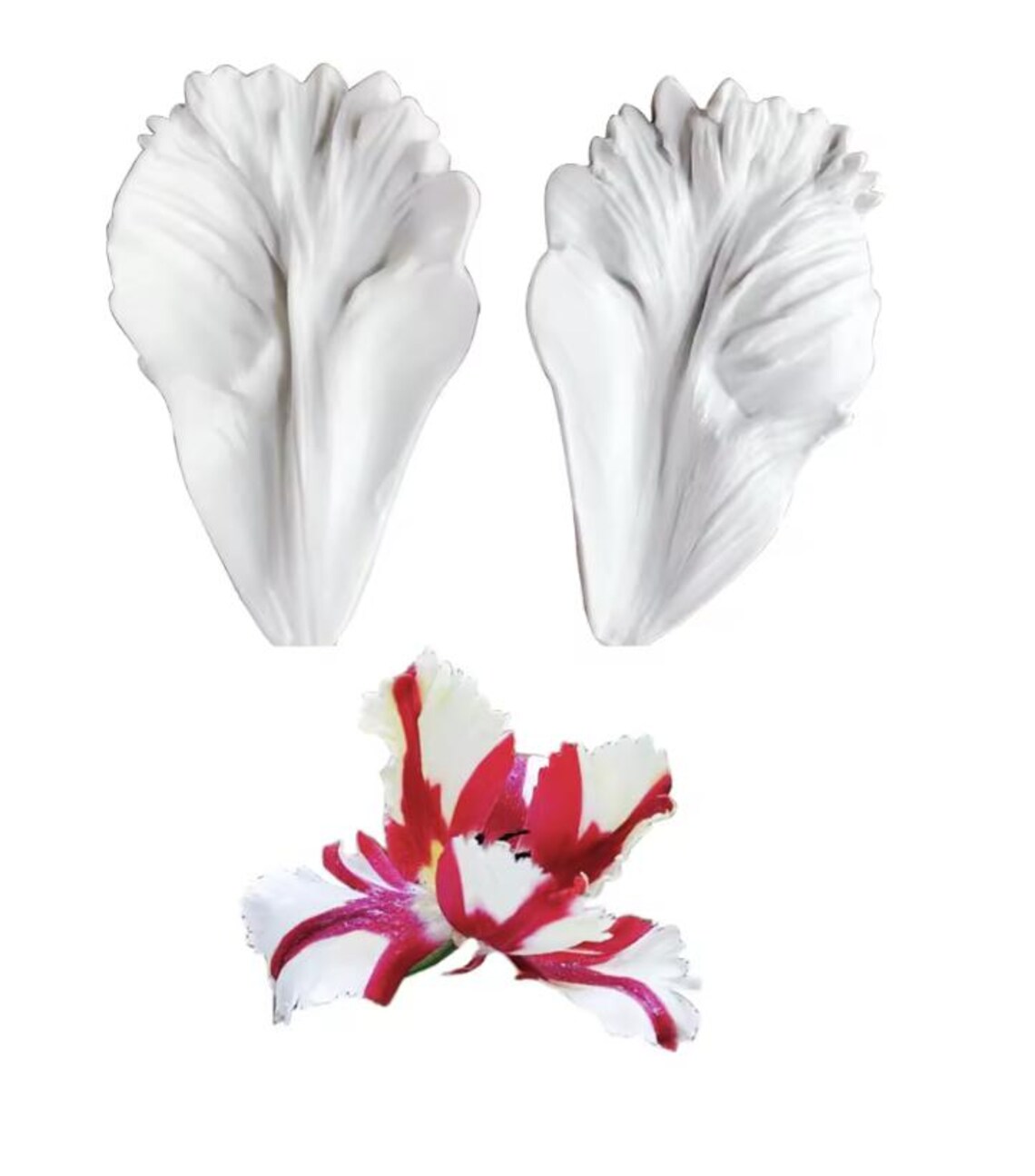 Parrot Tulip Petal Veiner Silicone Mold Cold Porcelain Fondant Gumpaste ...