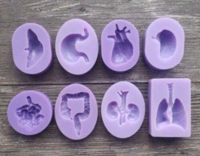 Different Human Internal Organs Silicone Mold Fondant Cake Decorating ...
