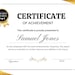 Elegant Black Gold Certificate for Achievement, Luxury Recognition ...