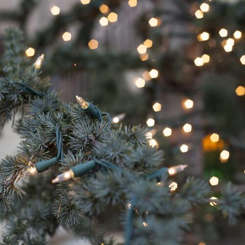 100 Count Clear Incandescent Mini Christmas Lights: 20.5 Ft Retro ...