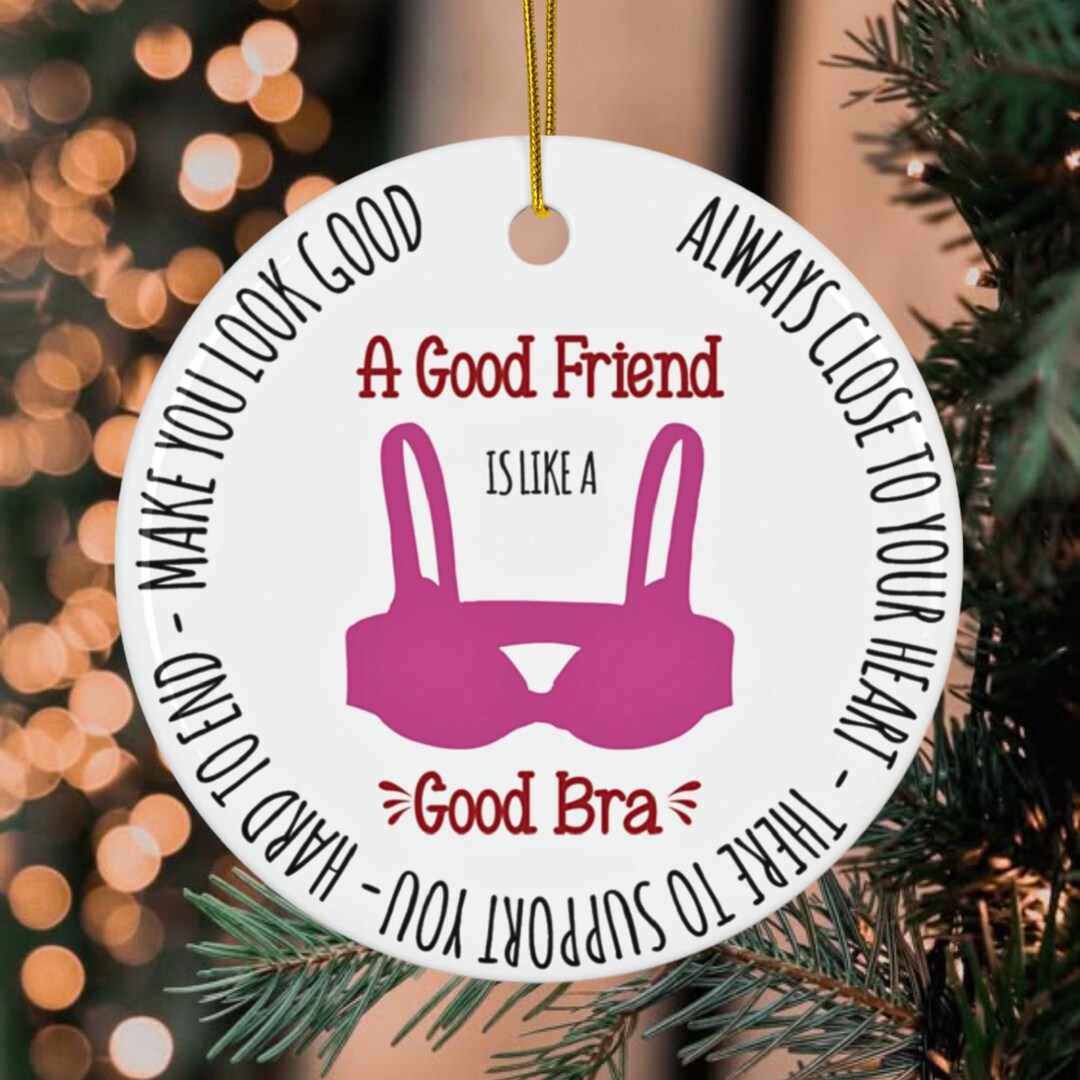 A Good Friend is Like a Good Bra PNG Ornament, Friend Christmas ...