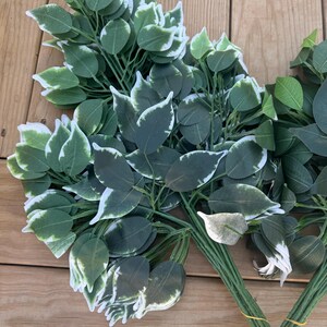 23” Artifical Ficus Stems (bundle of 12), Green or Variegated Ficus ...