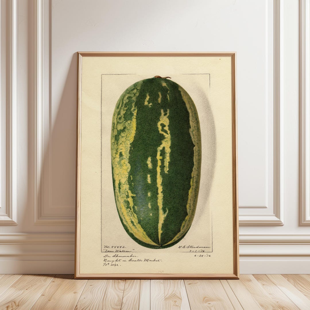 Vintage Melon Botanical Print Antique Fruit Kitchen Wall Art ...