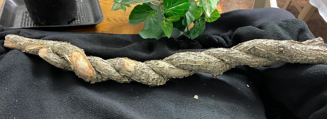 28 Natural Woody Vine. Rare Find Twisted, Excellent Swag or Wall ...