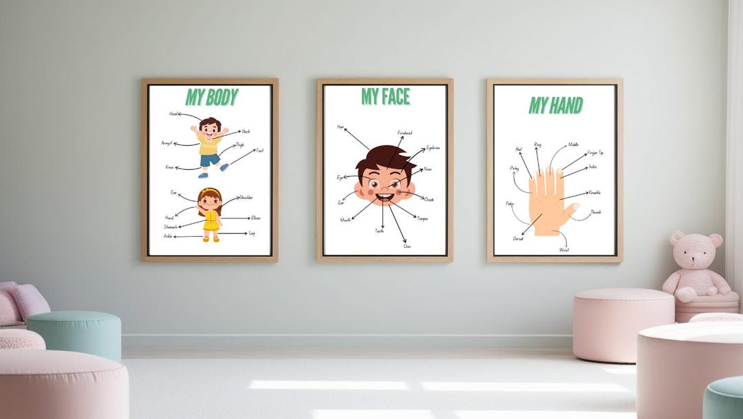 My Body, My Hand and My Face Educational 3 Piece Poster Set, Digital ...