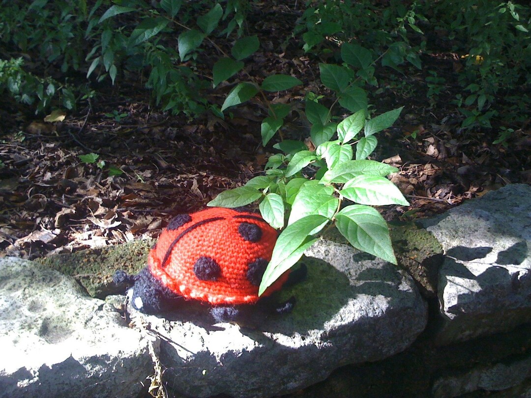 June the Lady Bug - Crochet Pattern Instructions - Etsy