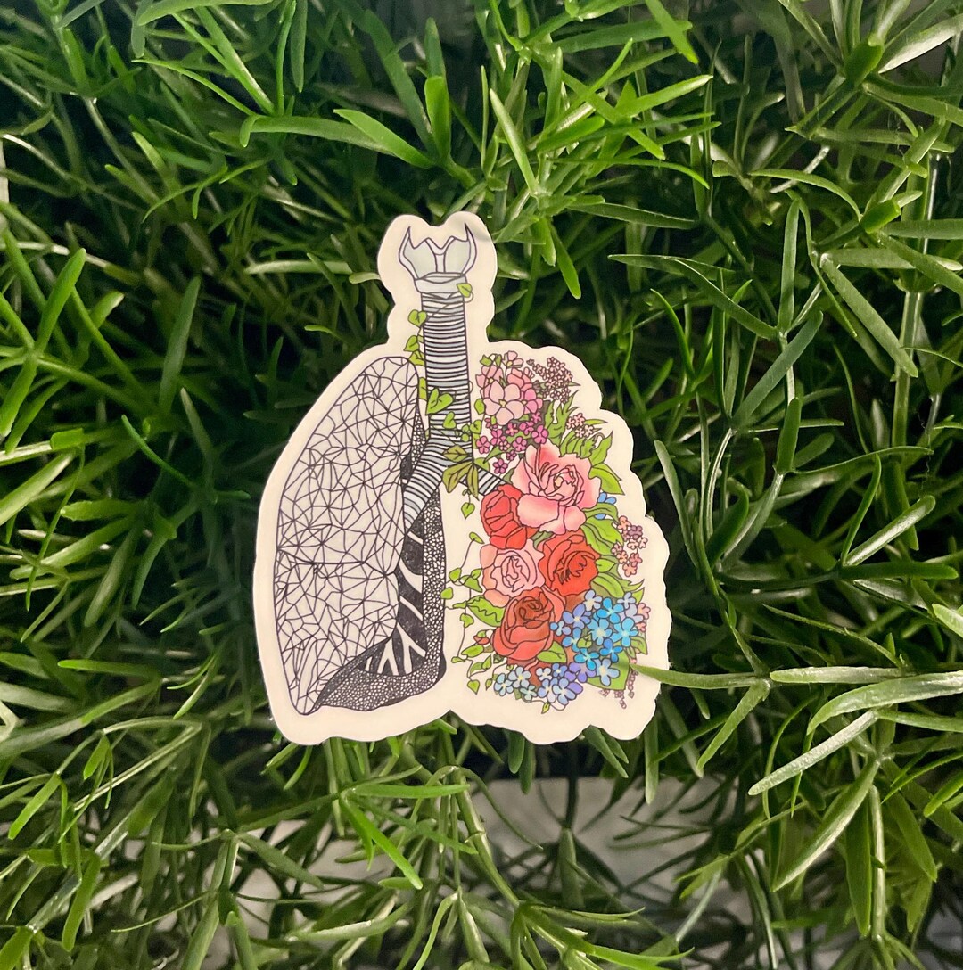 Medical Student - Lung Sticker - Etsy