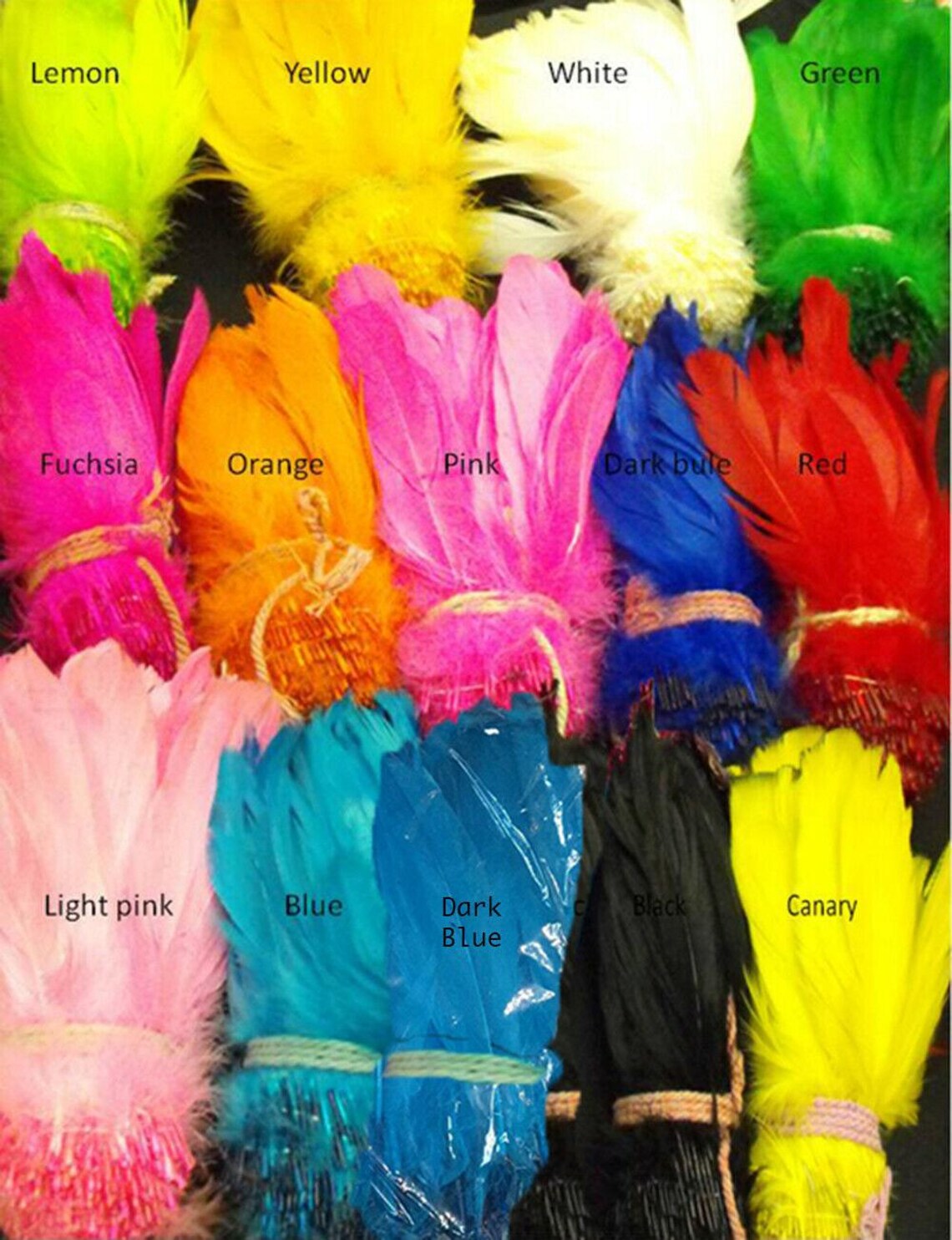 Evita Ftrw Feather Dance Drag Bra Skirt Bra Belt White Swan Costume Set ...