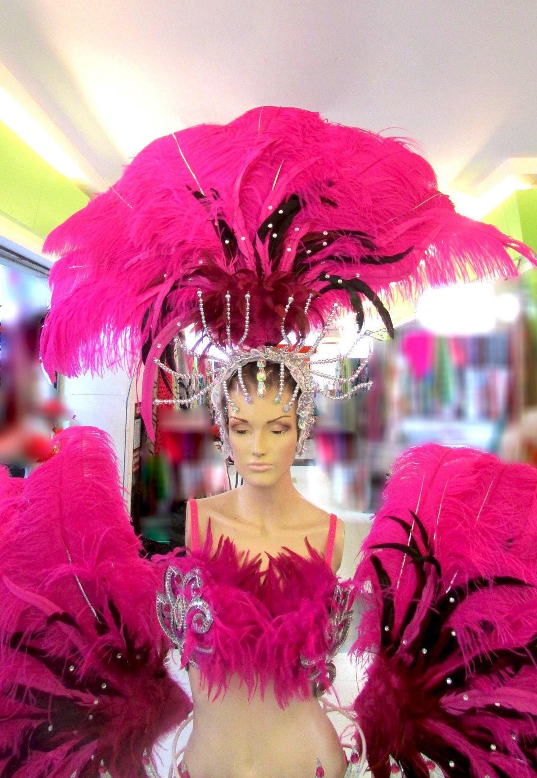 Da Neena C075 Samba Parade Carnival Brazil Feather Headdress Costume ...