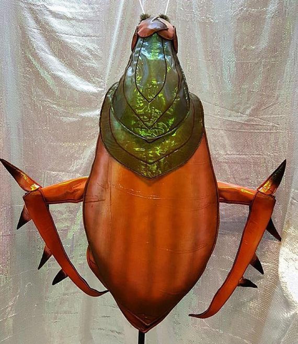 Da Neena Hut Cockroach Roach Insect Grasshopper Cricket Headdress ...