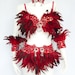 Evita Ftr Feather Dance Drag Bra Skirt Bra Belt Samba Dress Costume Set ...