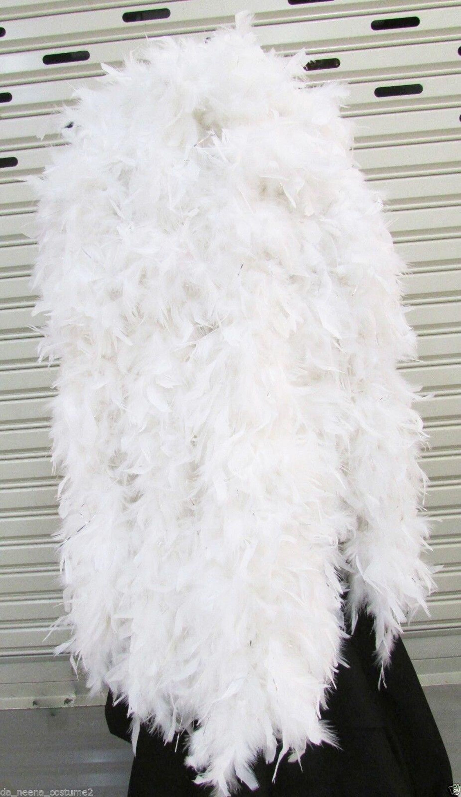 Daneena H200 White Thunderbolt Queen Crystal Feather Showgirl Pageant ...
