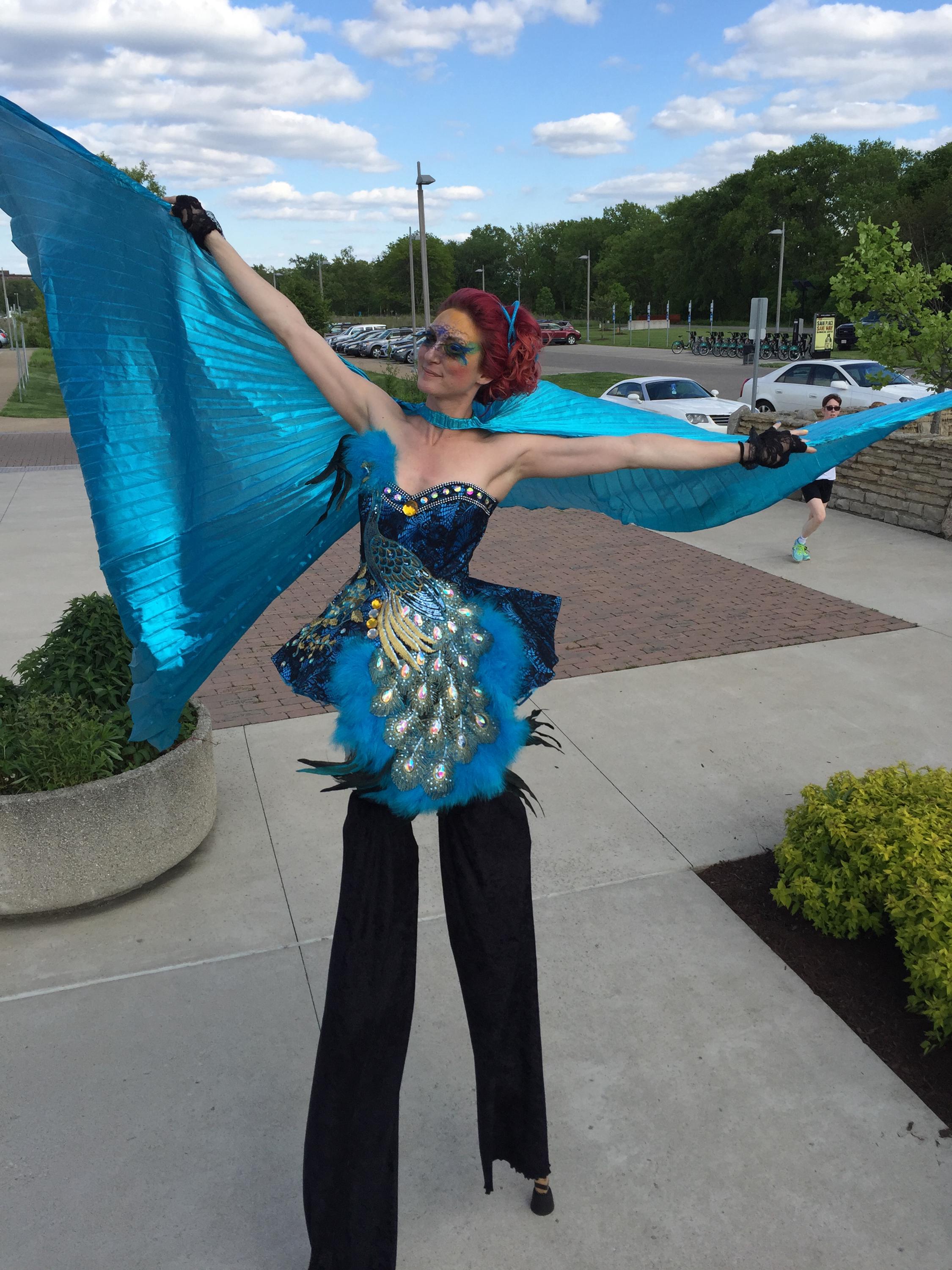 Da Neena M077 Showgirl Vegas Pageant Burlesque Feather Peacock Dance ...
