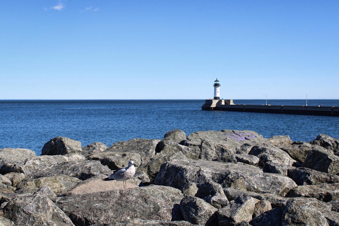 Seagull on Rocks at Duluth North Pier Lighthouse, Lake Superior in ...