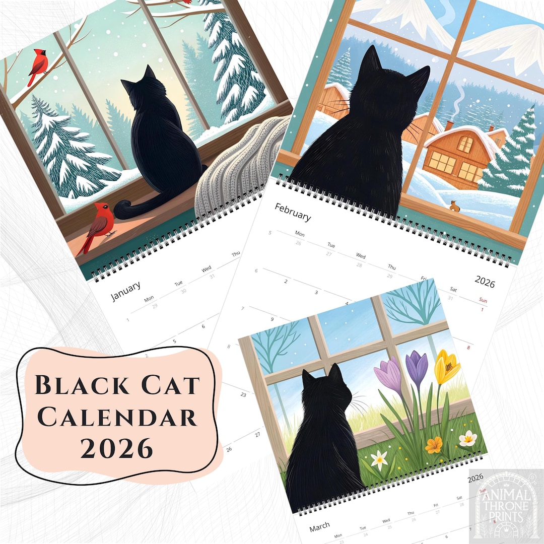 2026 Black Cat Wall Calendar 8.5x8.5 – Illustrated 12-month Planner ...