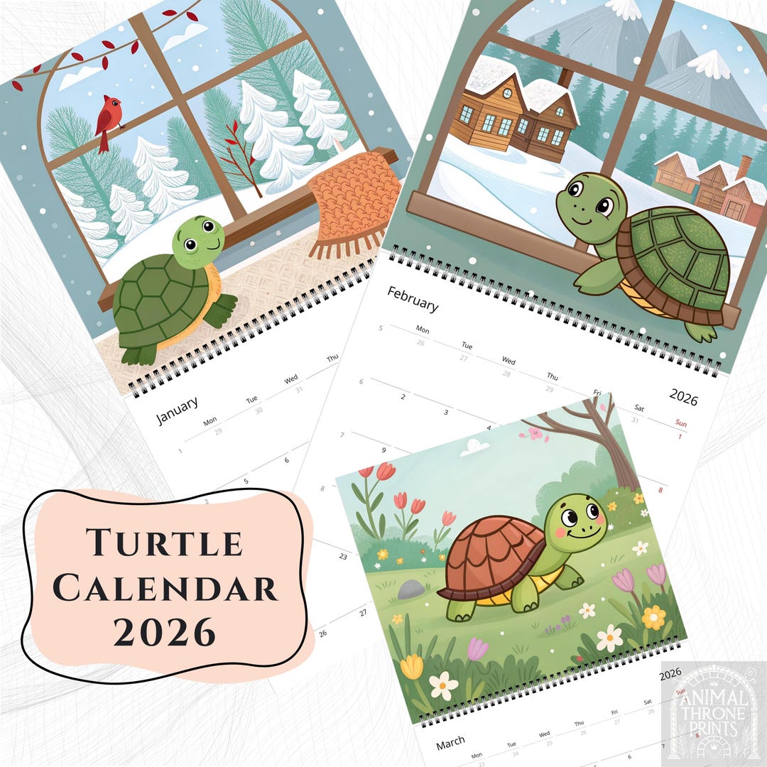 Turtle 2026 Calendar – Cute Animal Wall Calendar – Seasonal Tortoise ...