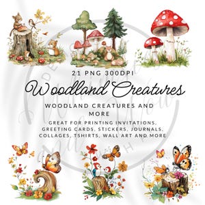 Woodland Animals and Nature Clip Art, PNG, Printable - Etsy