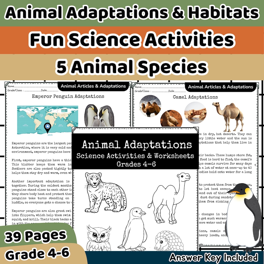 Animal Adaptations Worksheets: Grades 4–6 Science Activities, Reading ...