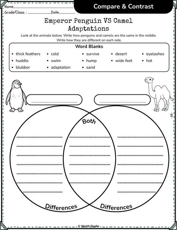 Desert Animal Adaptations Worksheet