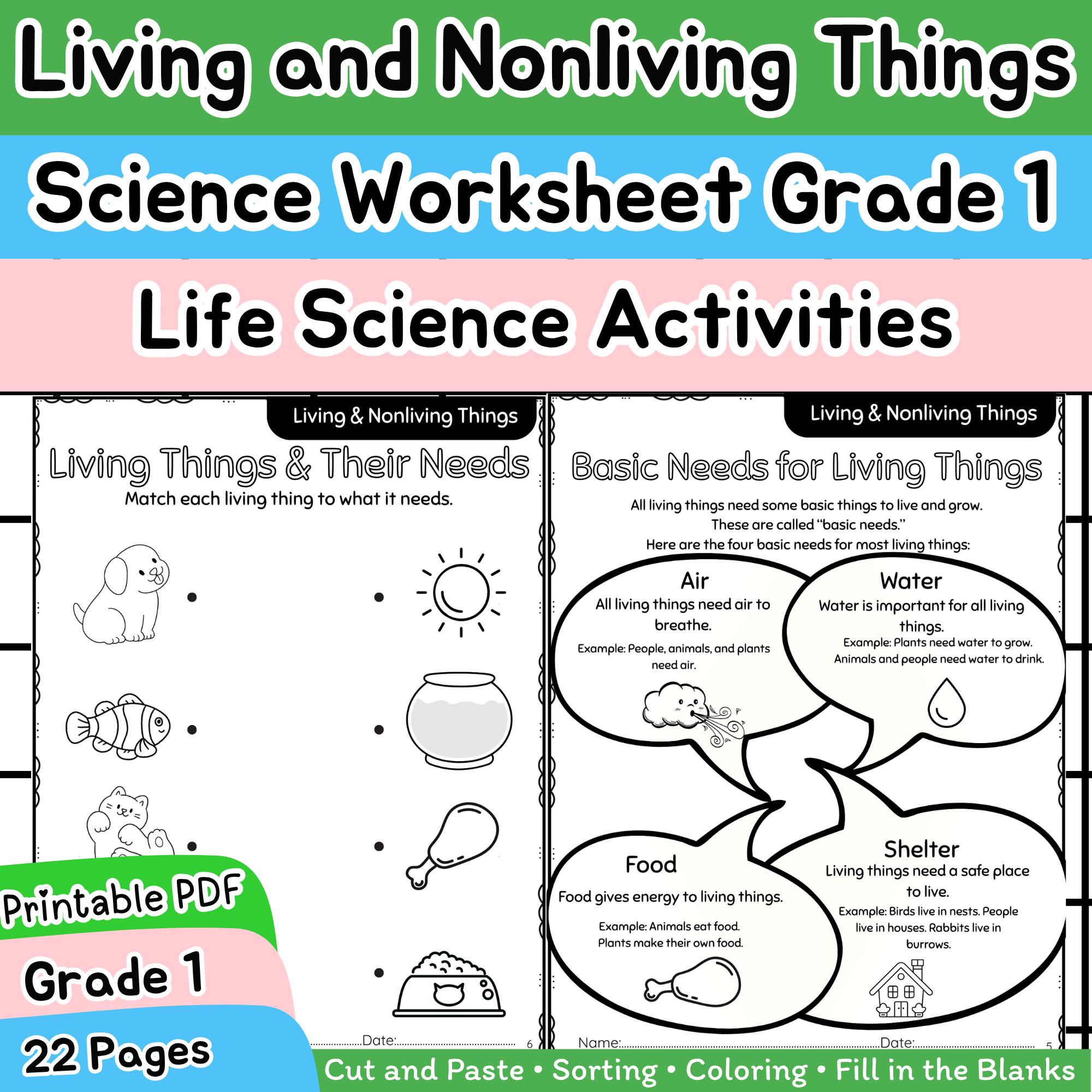 Living and Nonliving Things Worksheets: Grade 1 Life Science Activities ...