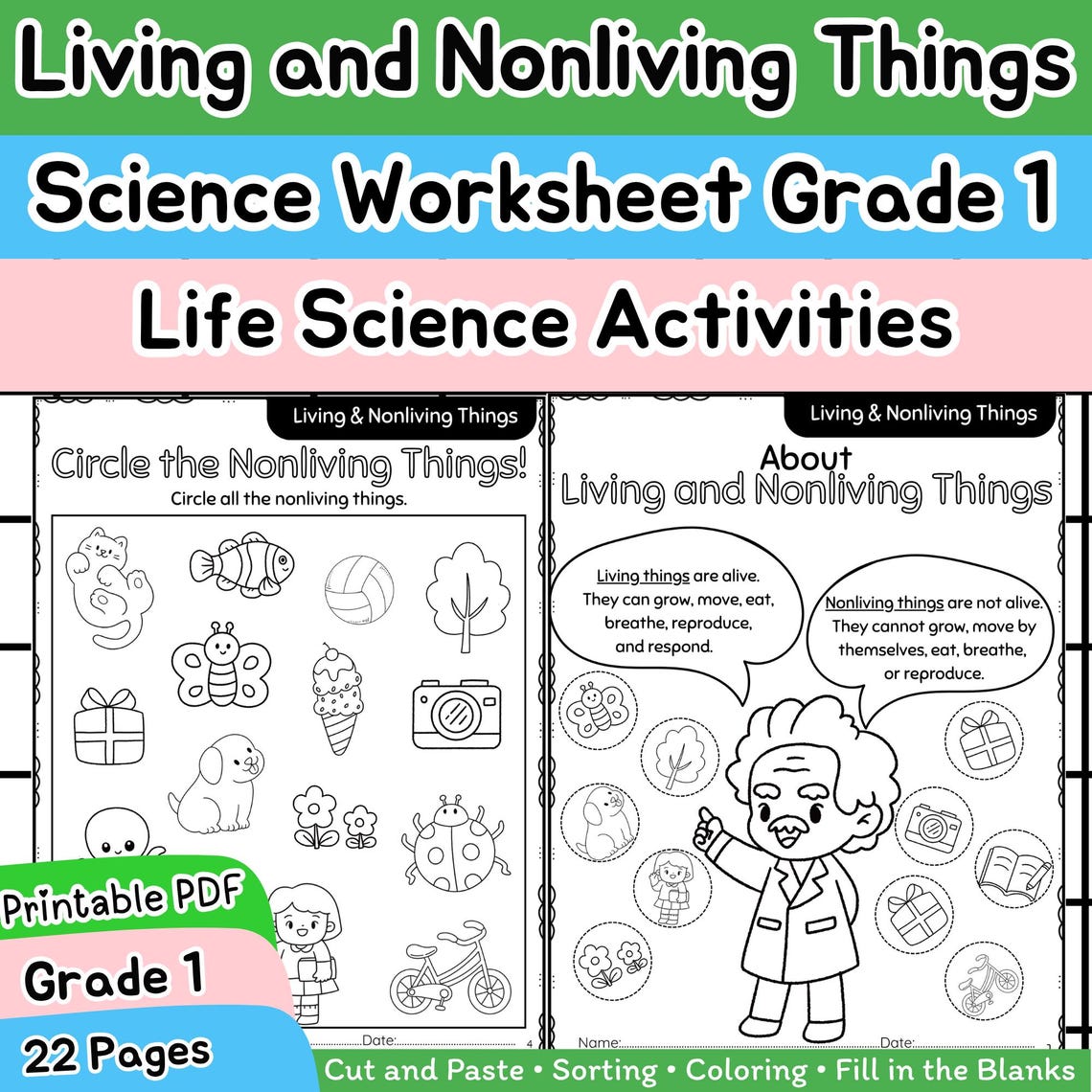 Living and Nonliving Things Worksheets: Grade 1 Life Science Activities ...