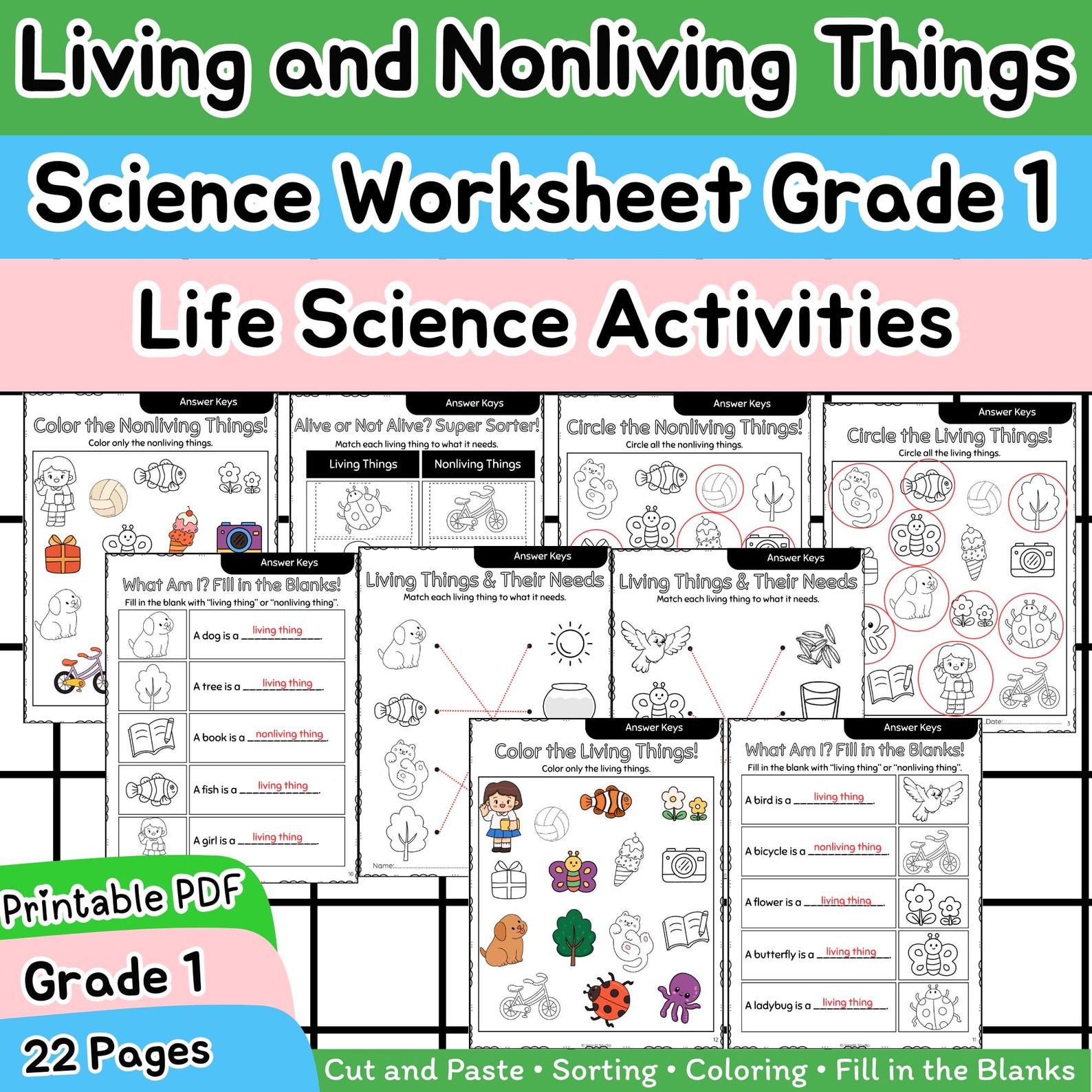Living and Nonliving Things Worksheets: Grade 1 Life Science Activities ...