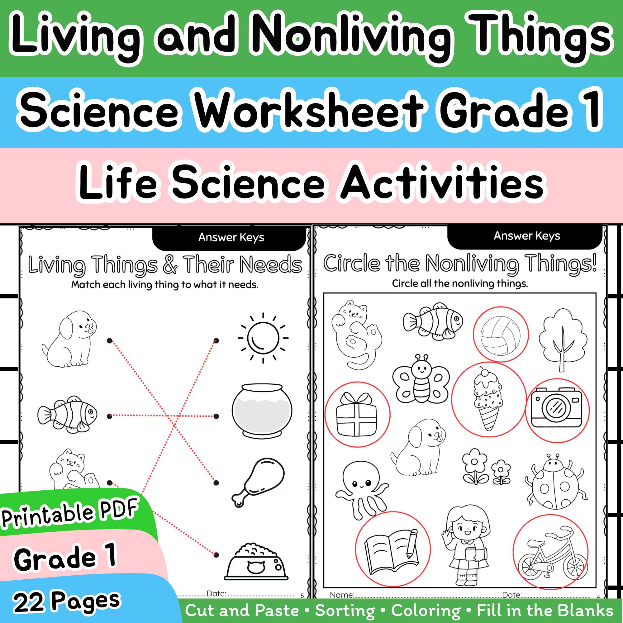 Living and Nonliving Things Worksheets: Grade 1 Life Science Activities ...