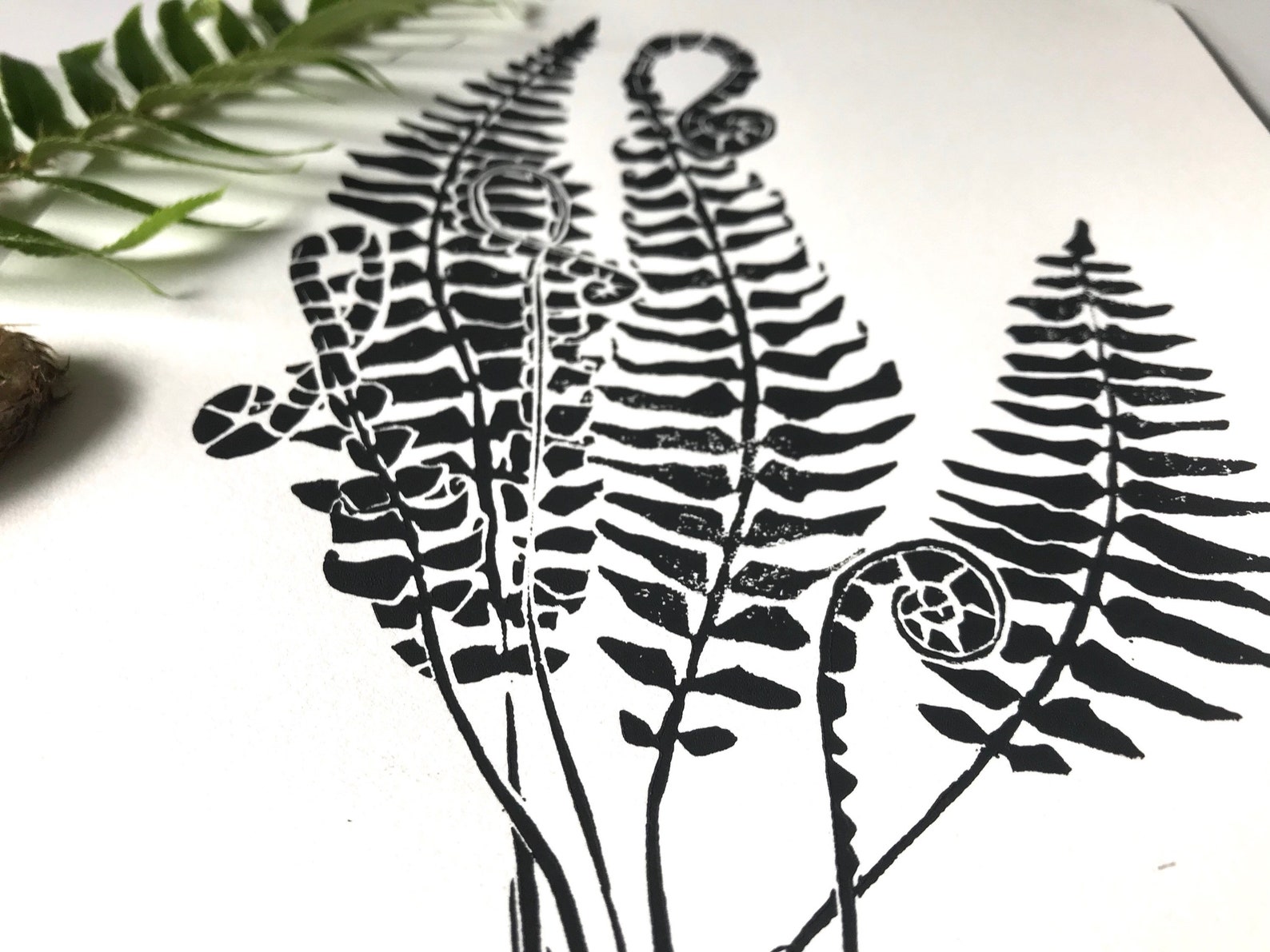 Fiddlehead Fern Block Print Black and White Art Print - Etsy