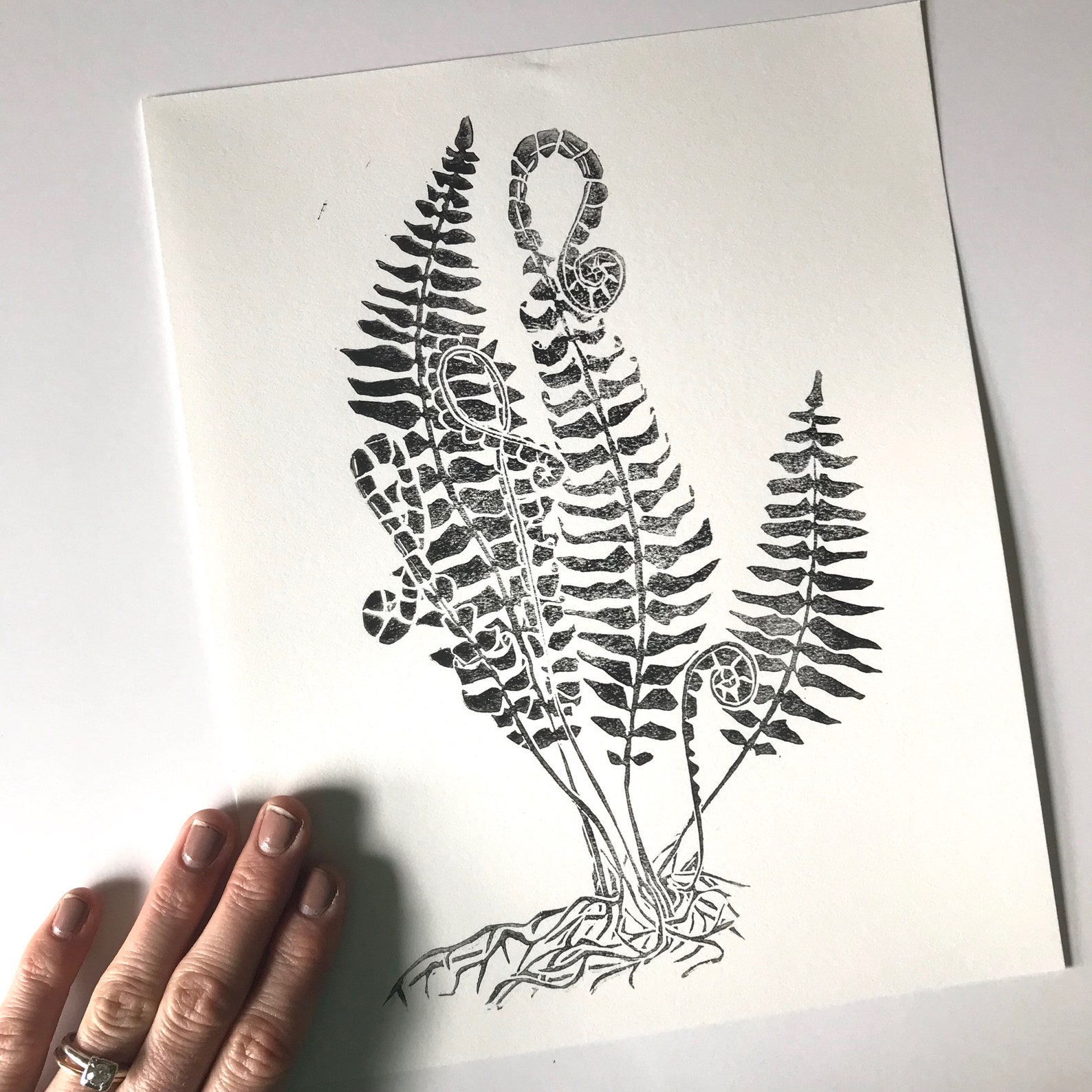 Fiddlehead Fern Block Print Black and White Art Print - Etsy