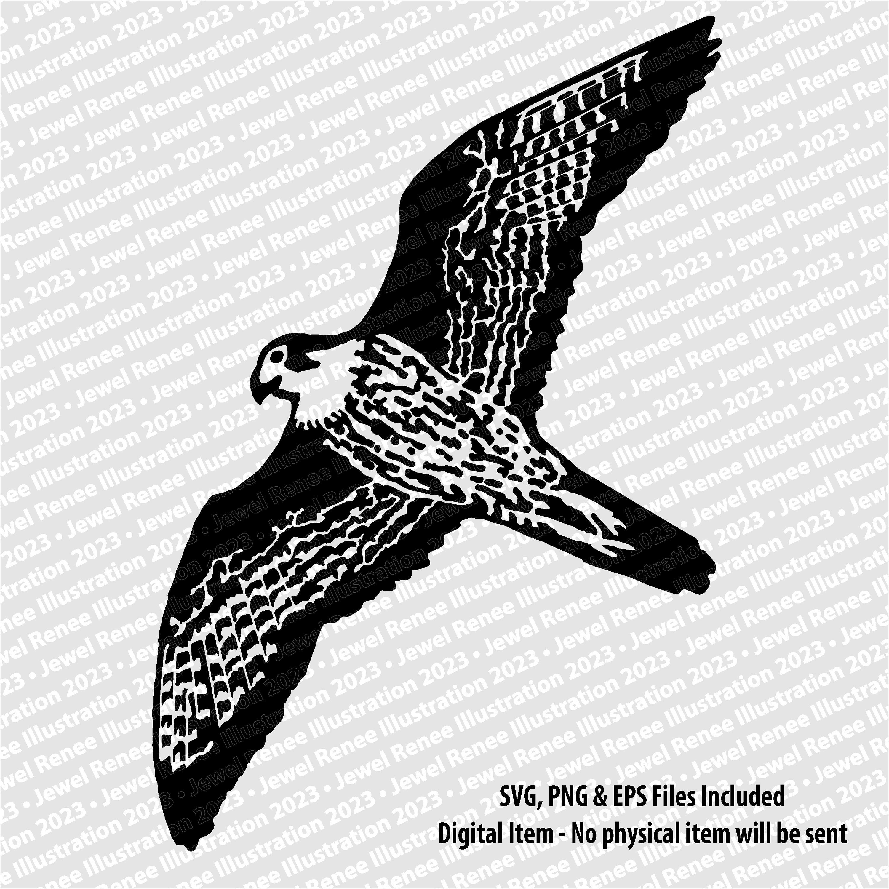 Peregrine Falcon SVG EPS PNG Instant Download - Etsy