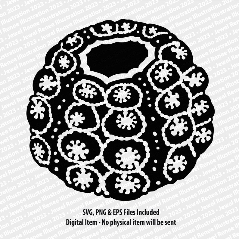 Sea Urchin Bumpy Shell One Layer Cut File SVG EPS PNG - Etsy