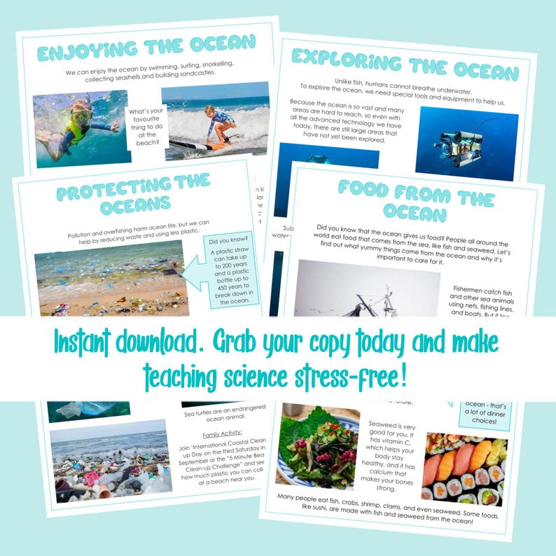 Ocean Learning Workbook: Marine Life, Food Chain, Crafts (digital ...