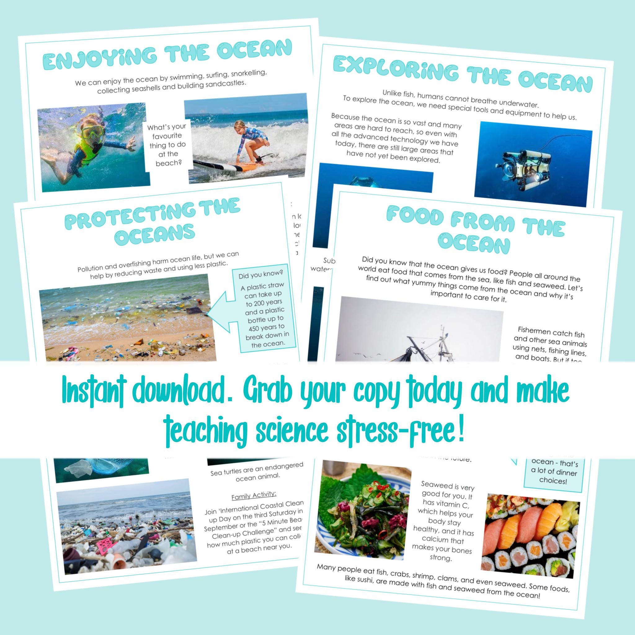 Ocean Learning Workbook: Marine Life, Food Chain, Crafts (digital ...