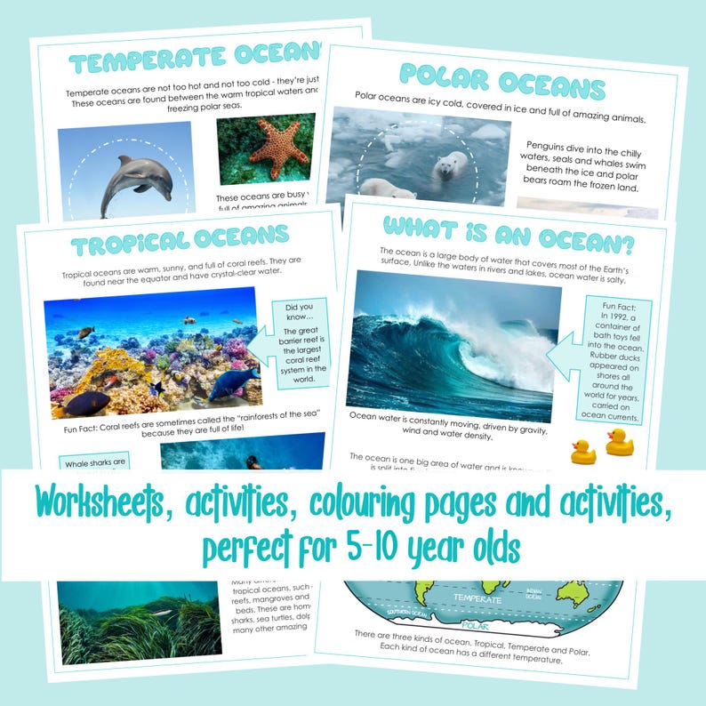 Ocean Learning Workbook: Marine Life, Food Chain, Crafts (digital ...