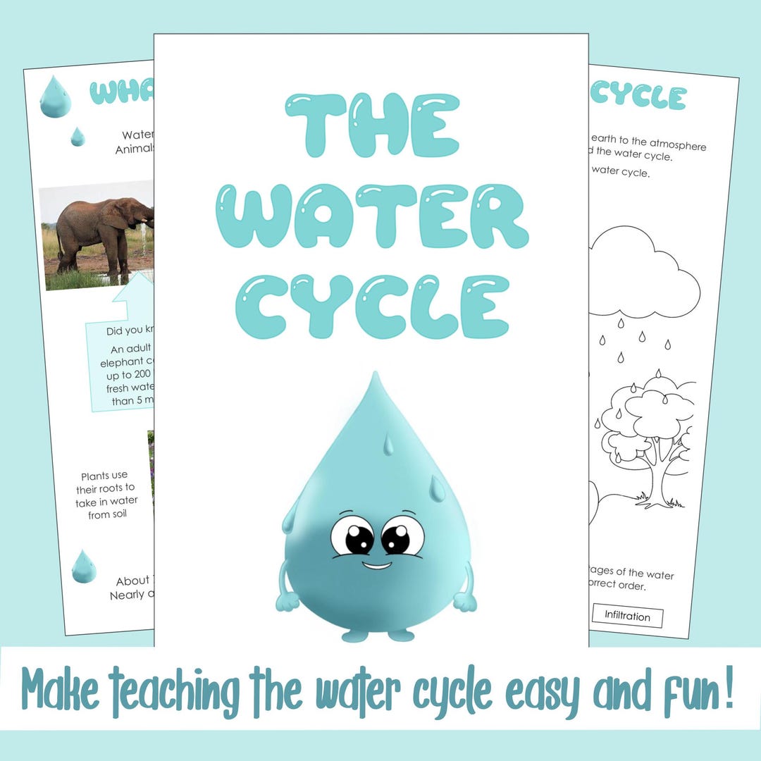 Water Cycle Learning Workbook | Simple & Fun Homeschool Science - Etsy