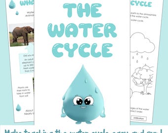 The Water Cycle: Nature's Amazing Water Adventure | Kids Science Video ...